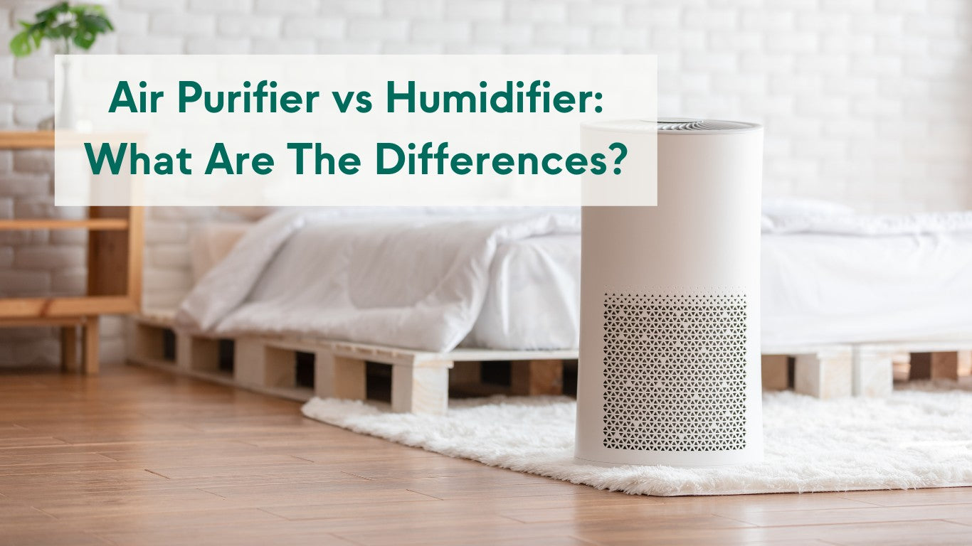 Air Purifier vs Humidifier: Choose the Right Device for Your Home and ...